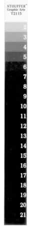 Grayscale Chart Calibration Service - Kapelan Bio-Imaging